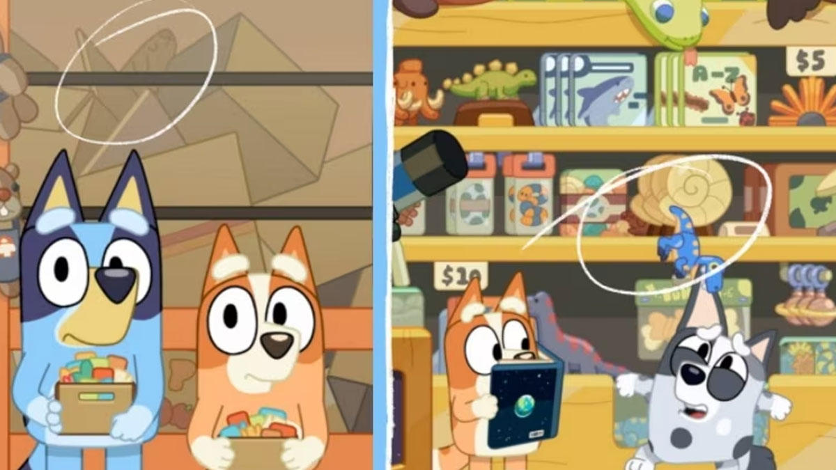 Bluey Hot Dog: The Ultimate Guide to This Aussie BBQ Staple - Fresh Kinston